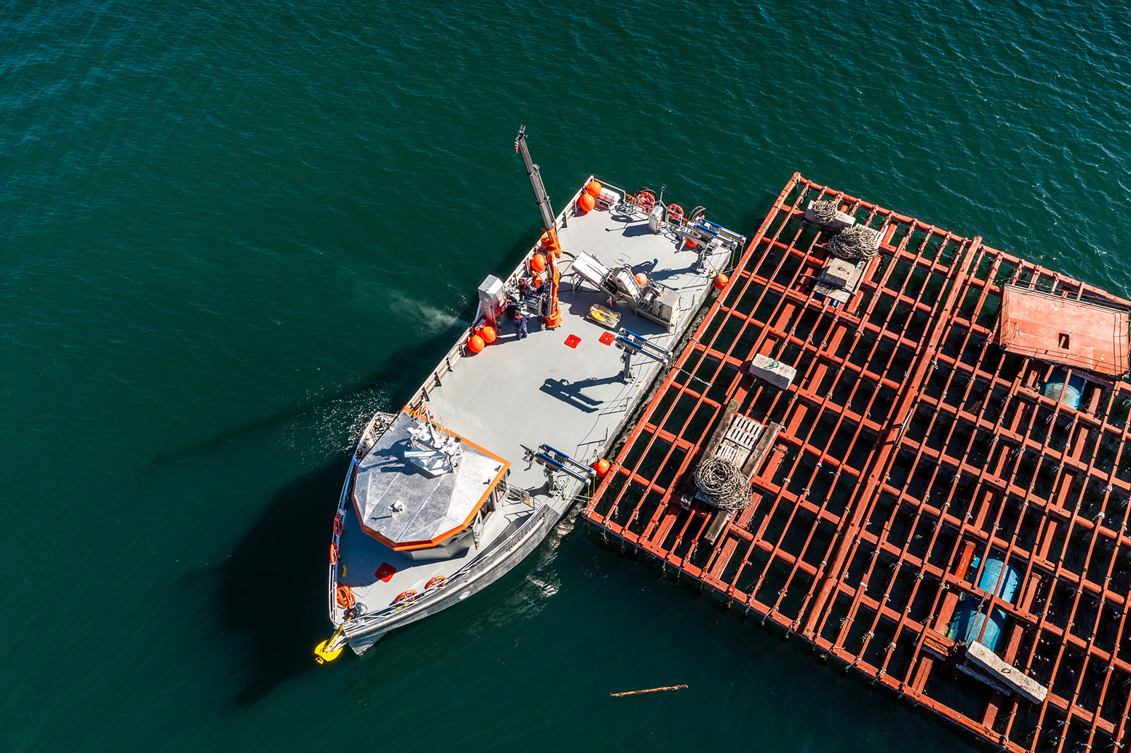 MOULES FRITES, AISTER’s Mussel Harvester for Long-Line Farming | Aister